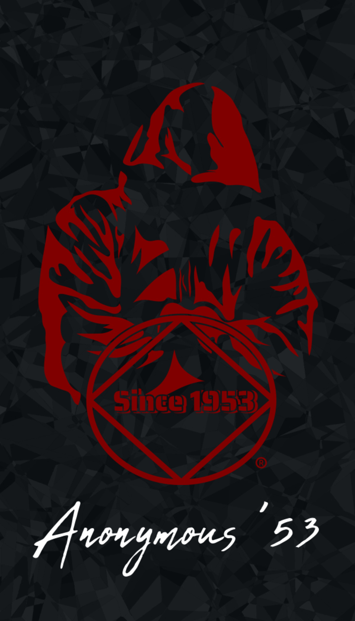 Anonymous 1953 Collection – Revolution Apparel Gear